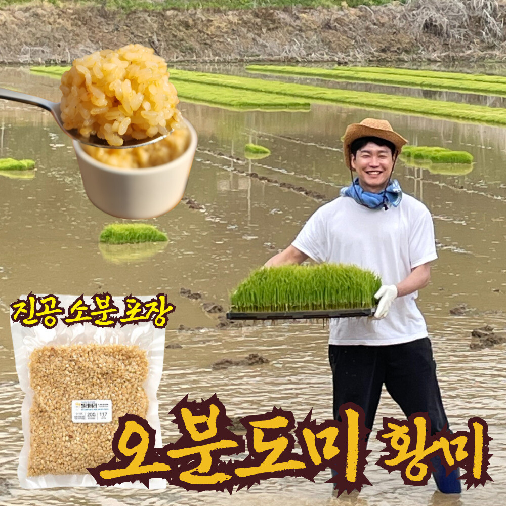 핑고 | 초개인화 AI 쇼핑